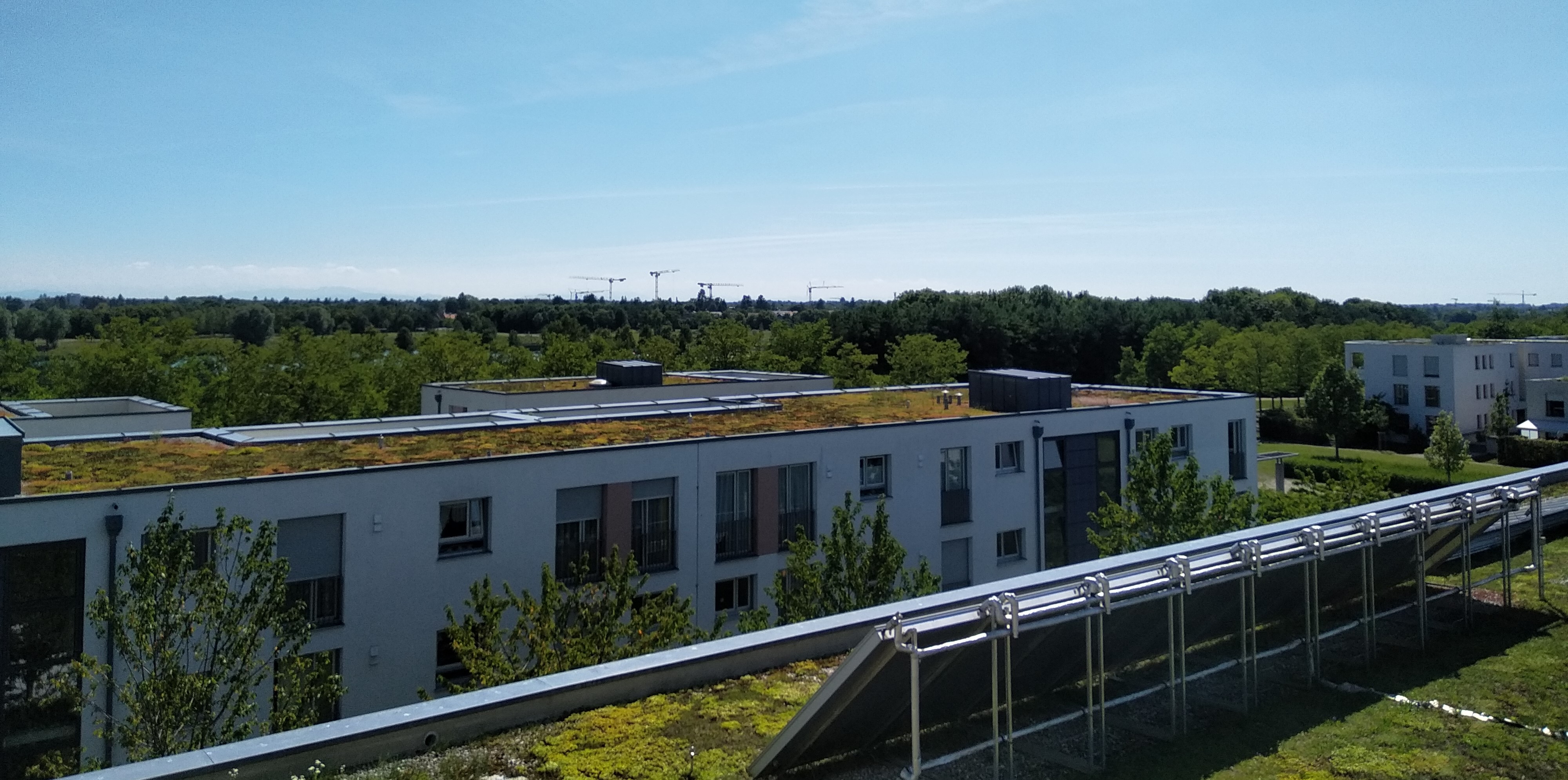 Grüne Stadt der Zukunft | Lokale Passung